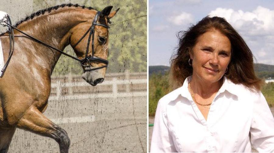 Maria Sundin: Övergångar i balans är A och O