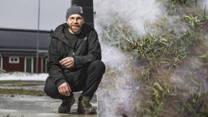 Isbränna – ett hot mot hästfodret vid växlande vintrar