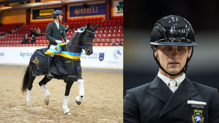 Hingsten Skyline To B är såld till Tyskland